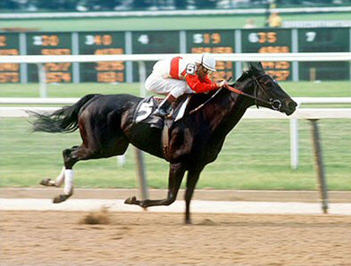 Ruffian, an unforgettable mare - Gustavo Mirabal Castro