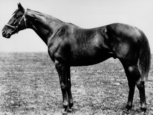 Sir Barton el primer ganador de la Triple Corona - Gustavo Mirabal Castro