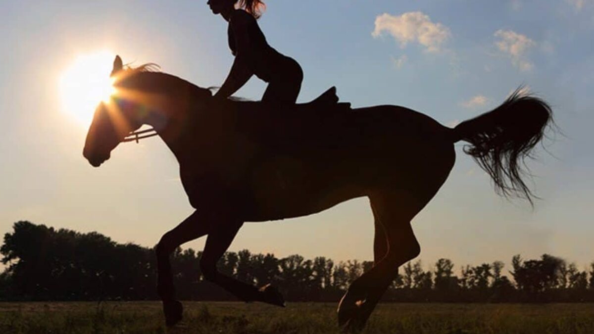 Montar A Caballo