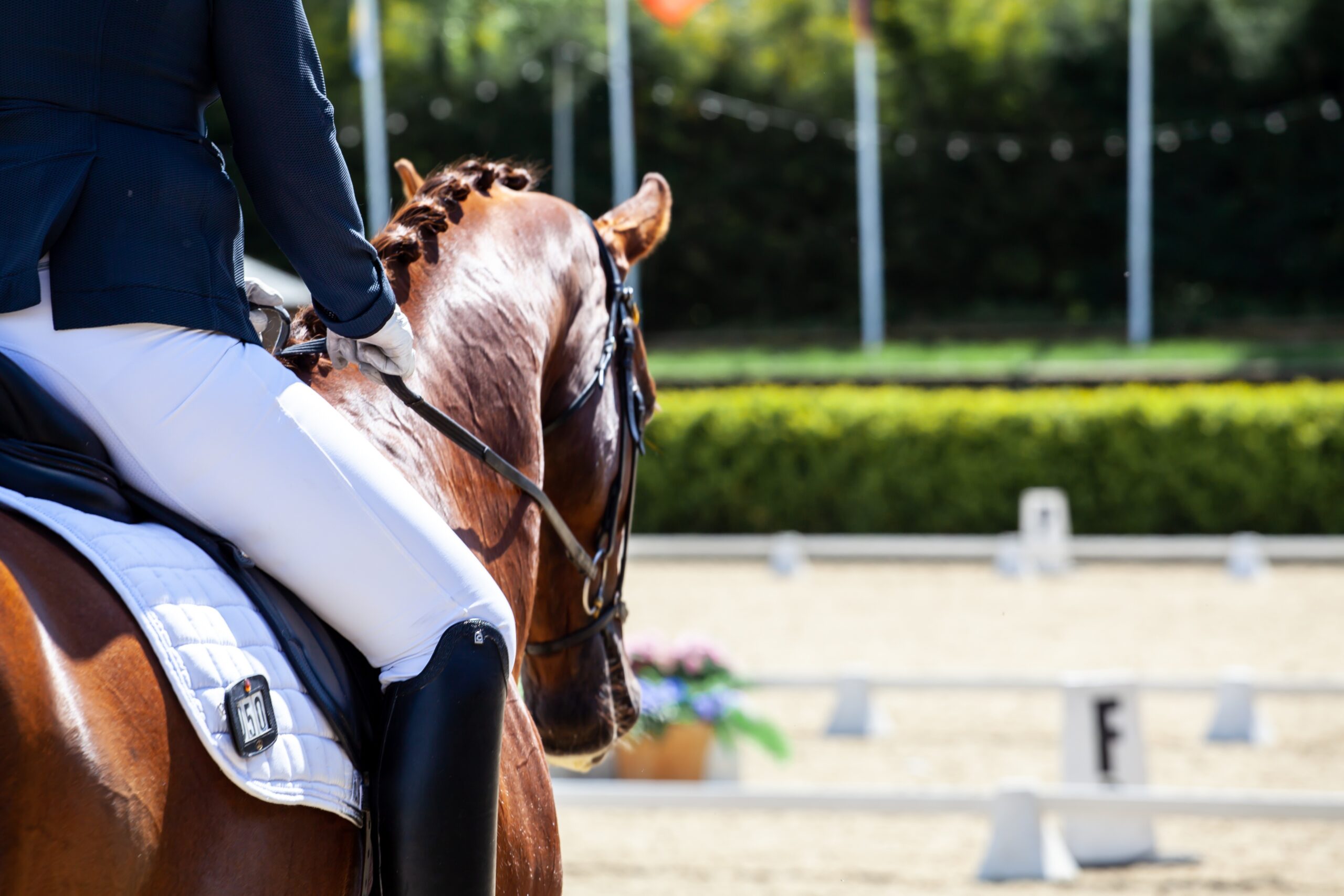 Eventos Ecuestres Internacionales: Un Mundo de Alto Rendimiento